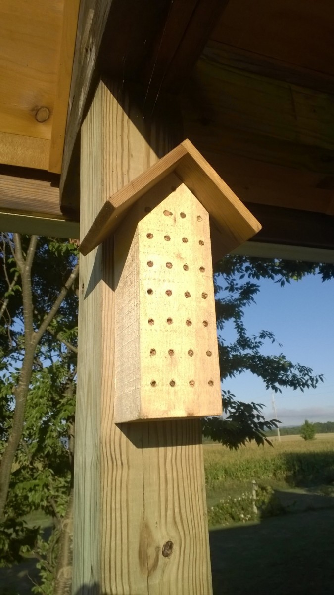 Orchard Bee Condo Gardenland USA - Improve Your Environment!